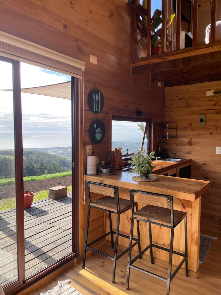 Tiny House Vista Mar - Cobquecura