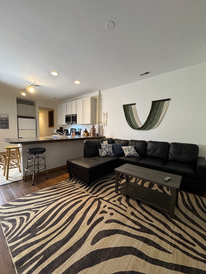 Charming Home Close To United Center And Hospital - New City - Chicago
