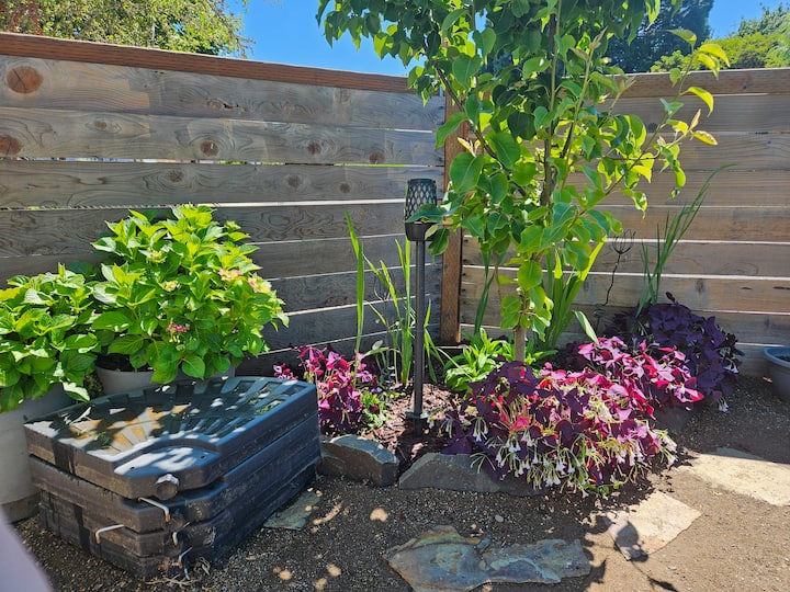 One Room W Twin Bed - Eugene, OR