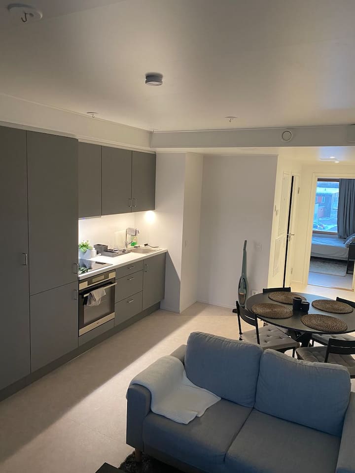Modern 35m² Furnished Apartment - Linköping