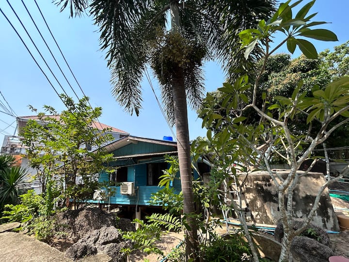 Mg Blue Koh Tao Family - Koh Tao