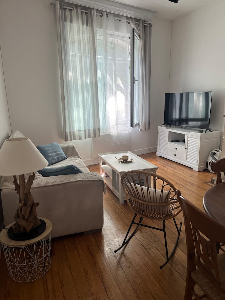 Appartement Chaleureux. - Arcachón