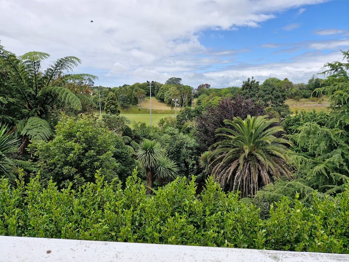 Views On Carrington - New Plymouth