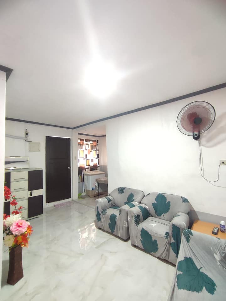 Theasen House - Ormoc