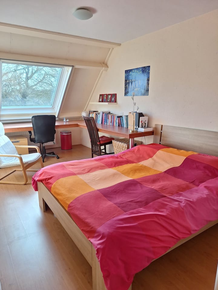 Cosy Room By The Park - Arnhem