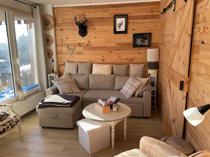 Appartement Cosy,pied Des Pistes - Le Lioran