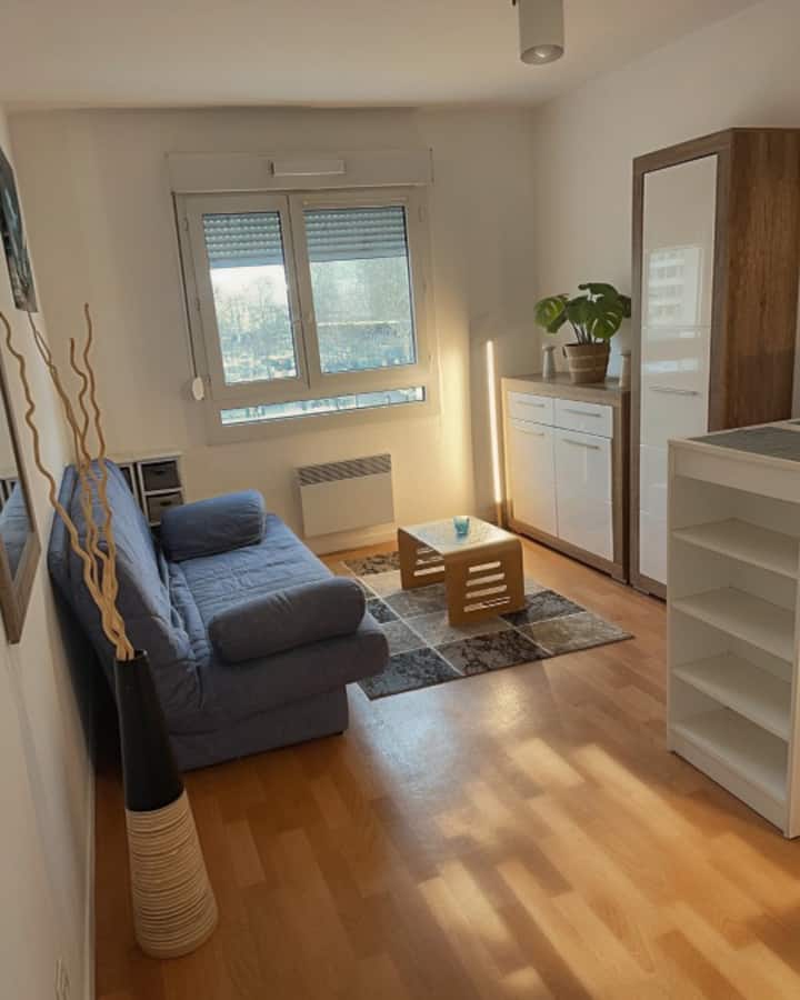 Studio Meublé Centre Ville Et Gare - Nancy