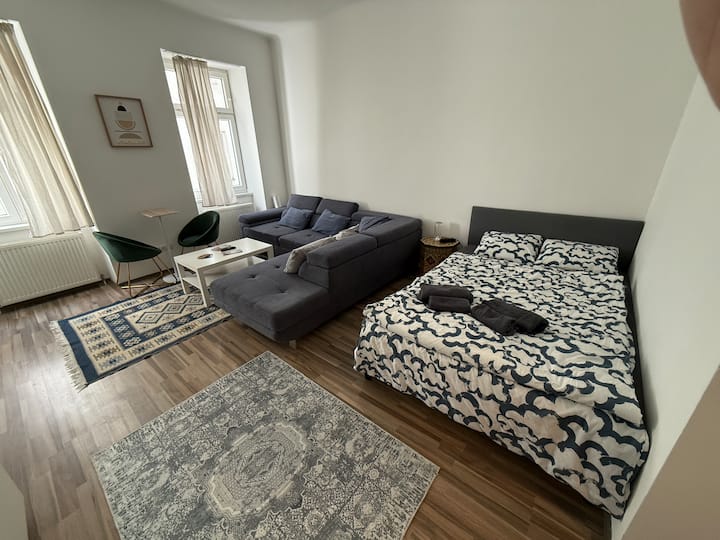 Wohnung Im Stadtzentrum - Viena