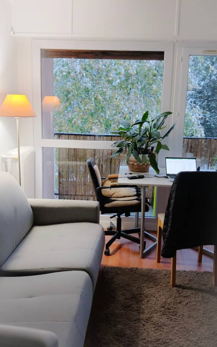 Chambre Spacieuse Et Lumineuse - Versailles