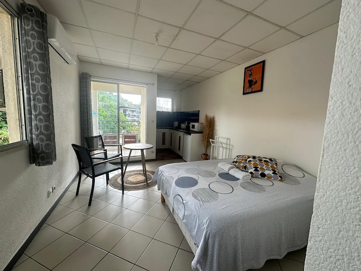 Studio De Standing Avec Piscine - French Guiana