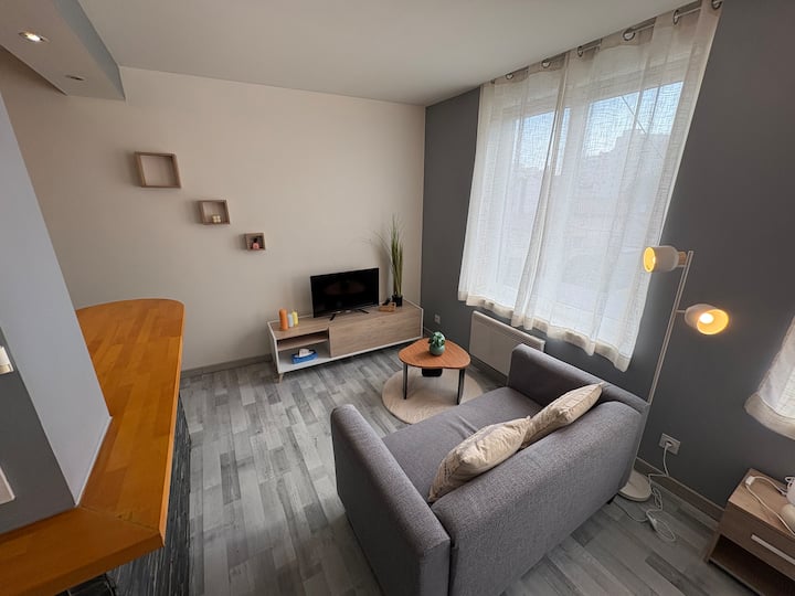 Appartement Cosy Au Coeur De Saint Etienne - Saint-Étienne
