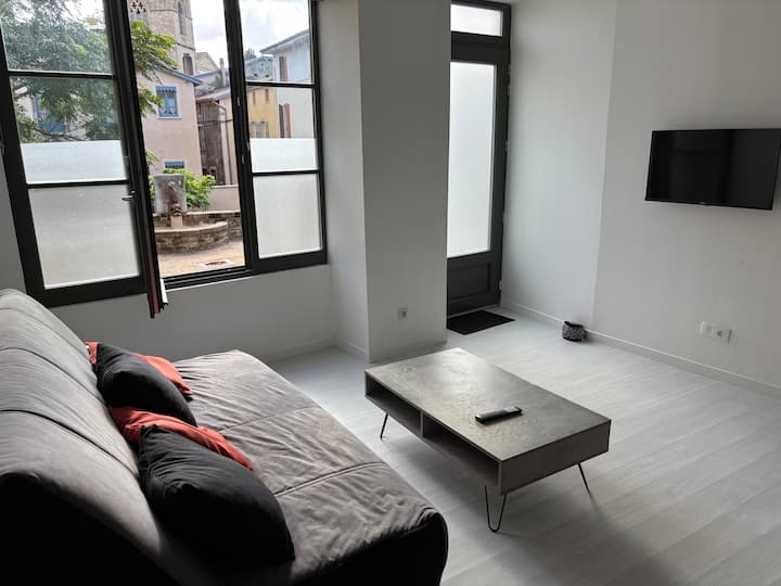 T2 Centre Historique Romans - Romans-sur-Isère