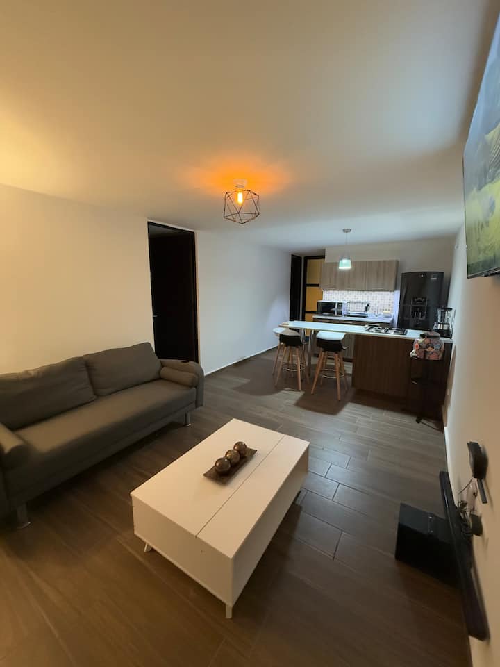 Departamento Zona Privilegiada - Aguascalientes