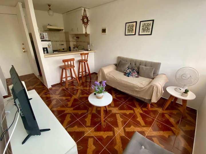 Acogedor Departamento En Santiago - Santiago