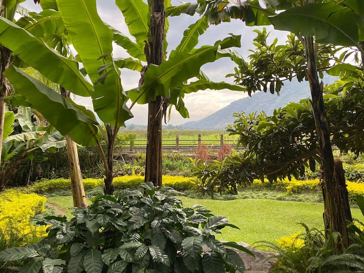 The Sabbatical House - Guatemala