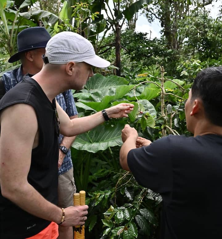 Didesa Wanagiri - Munduk