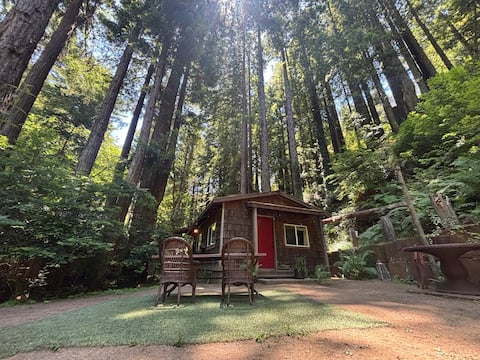 Big Sur Cabin Vacation Rentals - California, United States | Airbnb
