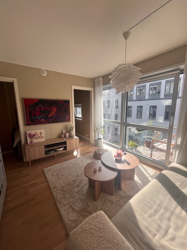 Rett Ved Alexander Kiellands - Oslo