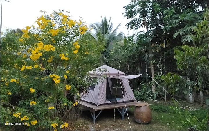 Have A Nice Holiday @ Happyness - Ko Chang