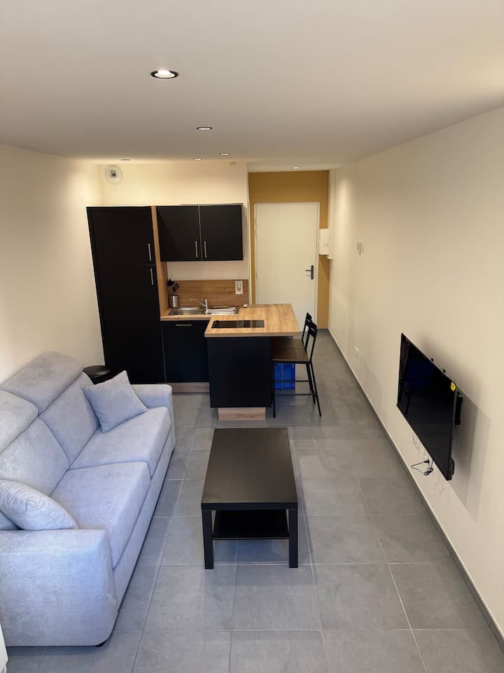 Studio Meublé Tout éQuipé - Saint-Étienne