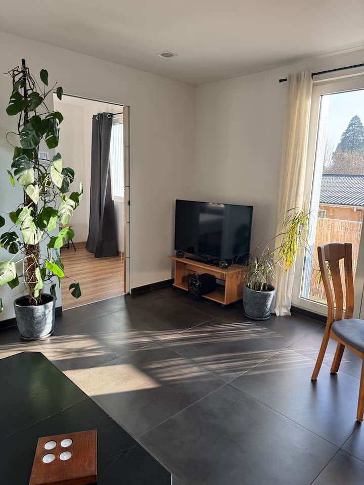 Joli T2  Rénové -  Place De Parking Le Marlioz - Le Bourget-du-Lac