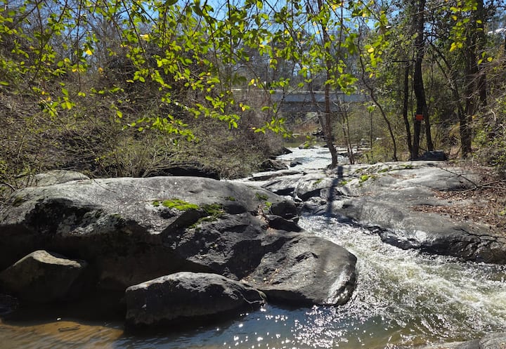 5br Pet Freindly Hidden Creek | Pool & Games - Columbus, GA