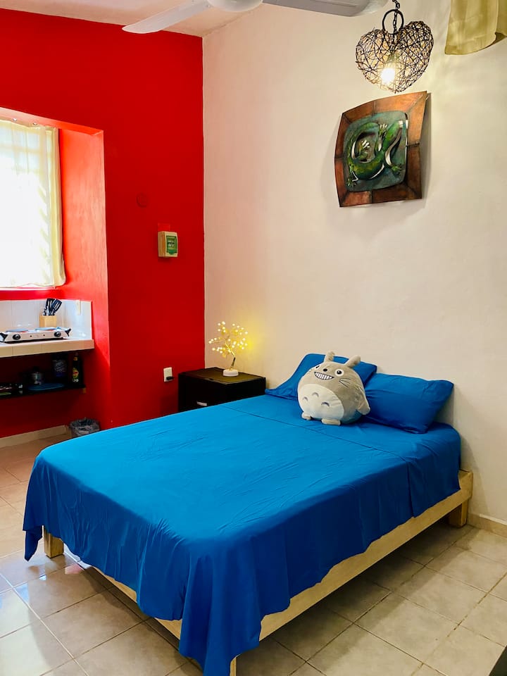 Departamento Mía - Chetumal