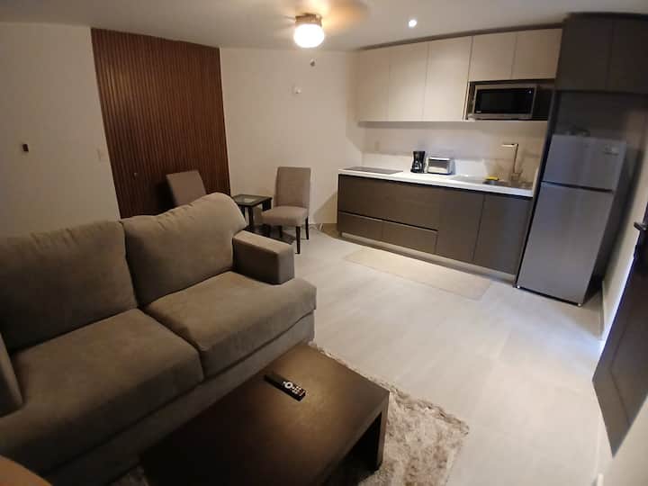 Departamento 1 Recamara Nuevo  Wifi/cable Ethernet - 몬테레이