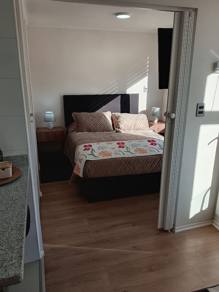 Depto De 1 Dormitorio, Céntrico, A Pasos Terminal. - Concepción, Chile