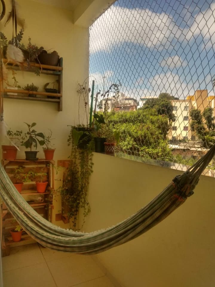 Havena House - Contagem