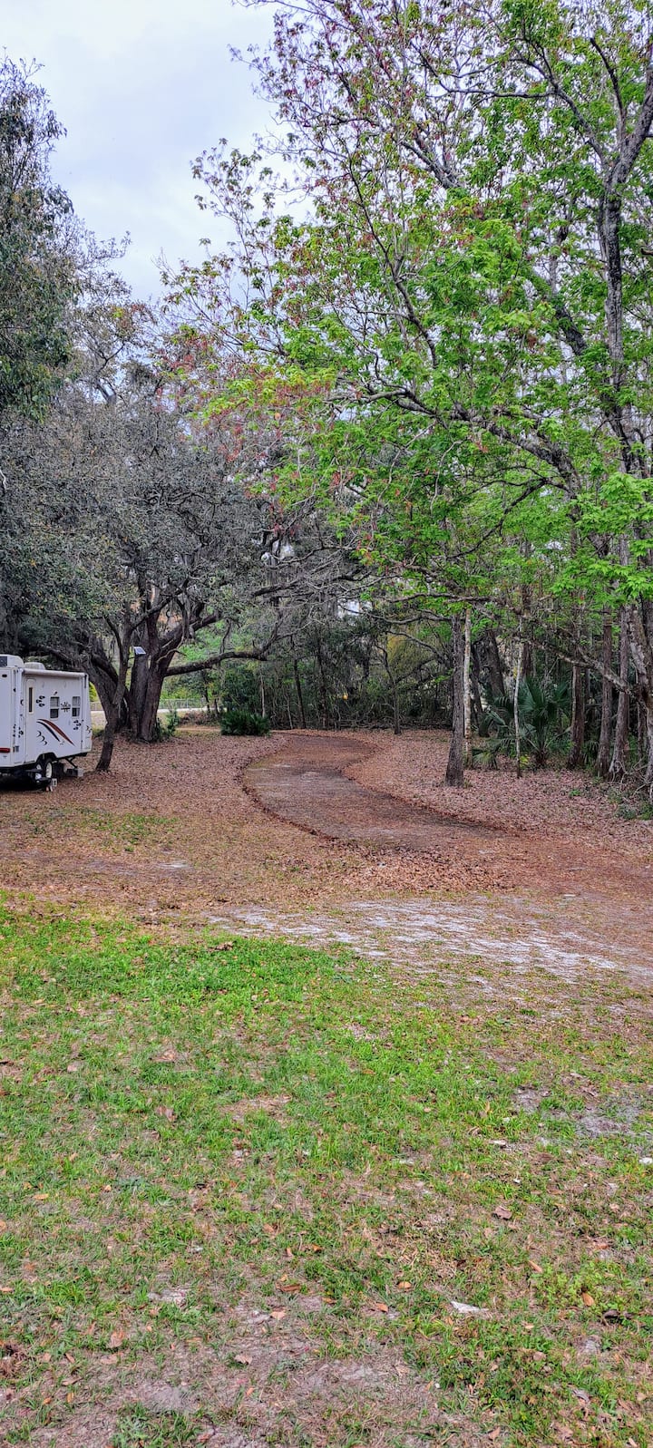 Forest Camper. Couple Retreat In The Golden Acres - Florida