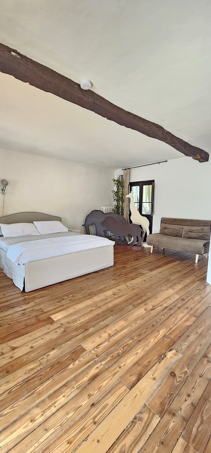 A Due Passi Da Zoom Torino! - Piscina