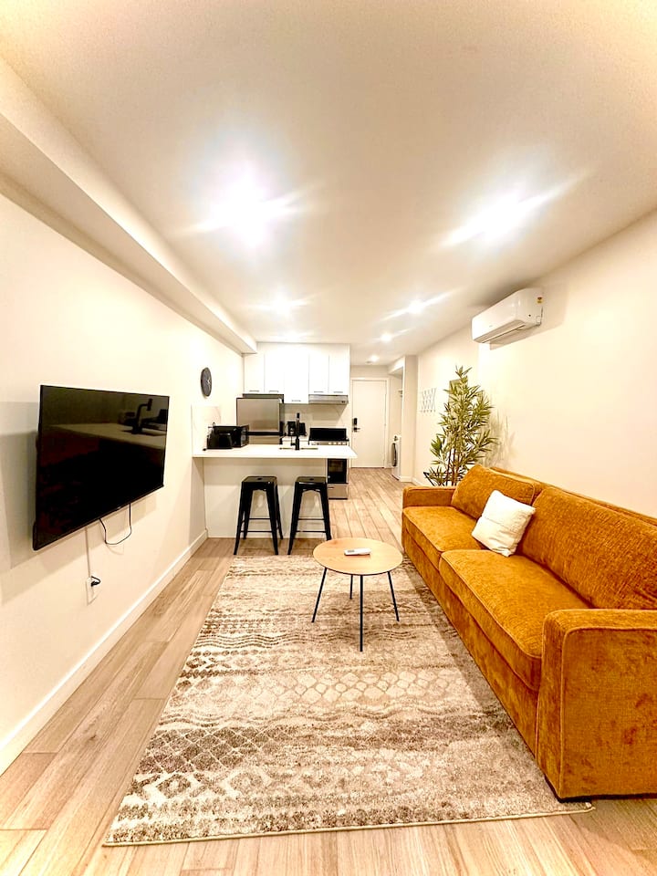 Steps From Olympic Park , Laundry Insite, Smart Tv - Montreal