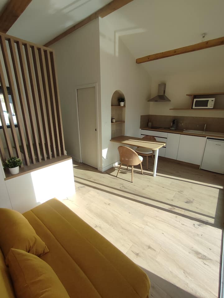 Studio Très Lumineux Avec Terrasse - Brignais