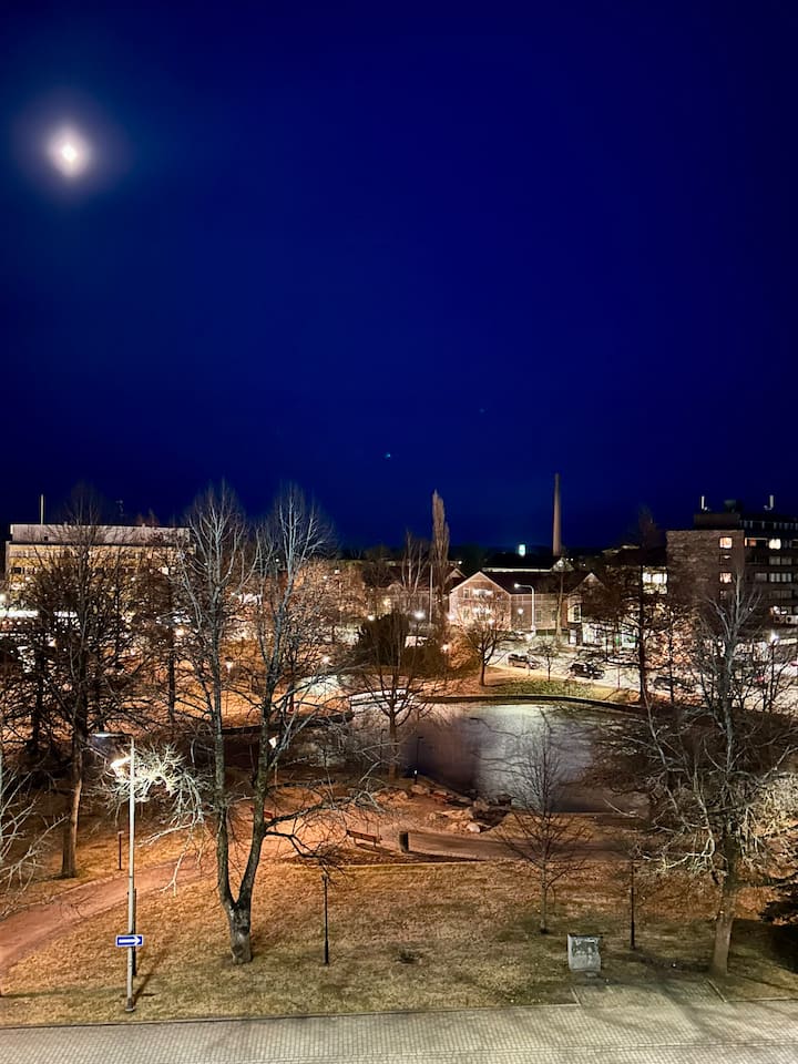 Keskustan Sydämessä - Lasitettu Parveke - Sauna - Tammela