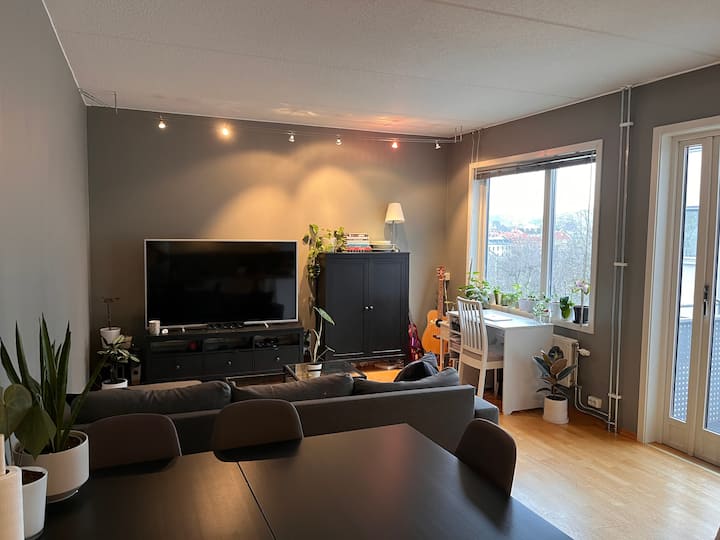 Superfin Leilighet Midt I Oslo - 奧斯陸