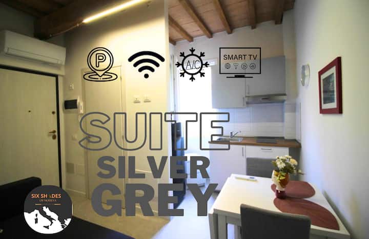 *Silver Grey Suite* Close To City Center & Parking - Módena