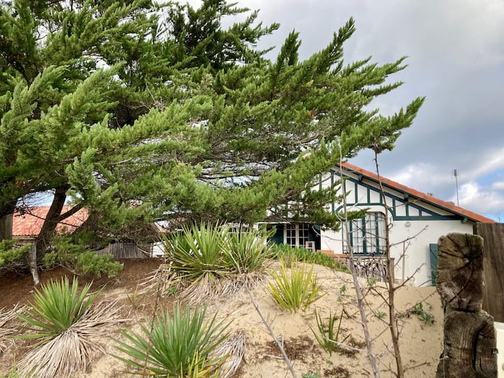 Maison Contis Plage - Lit-et-Mixe