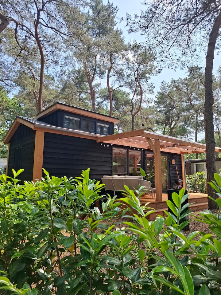 Thuisje Van Hout - Drenthe