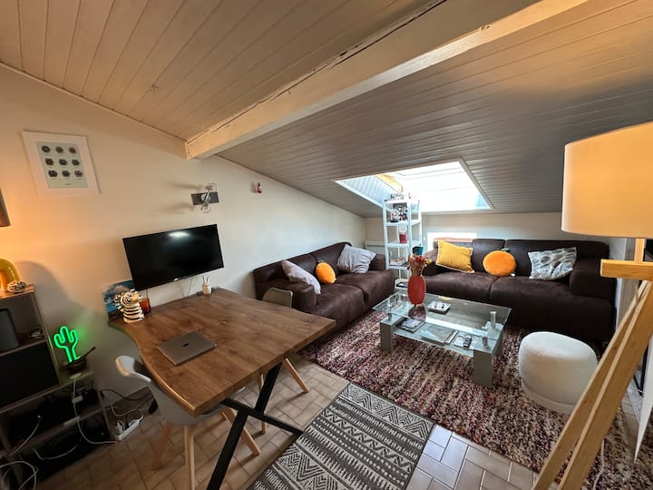 Cosy Studio "Nid D'aigle" Proche Gare De Thonon - Thonon-les-Bains