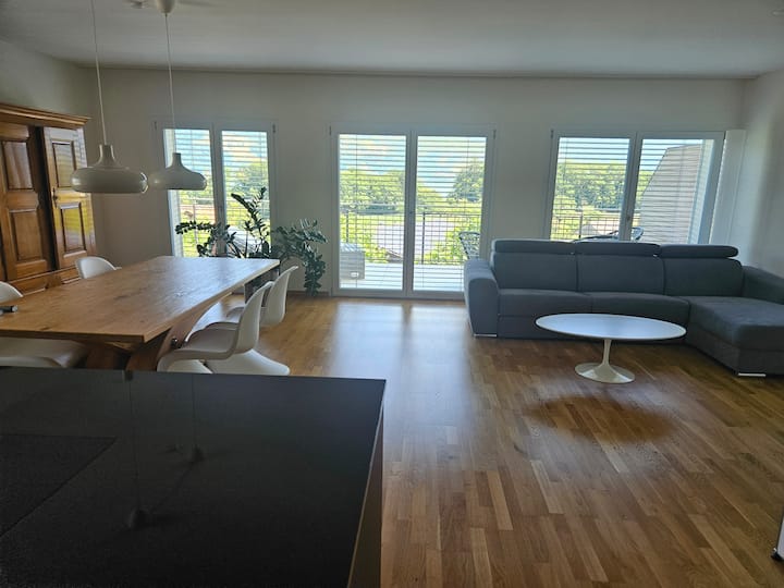 3,5 Terrassenwohnung Mit Thunerseesicht - Thun