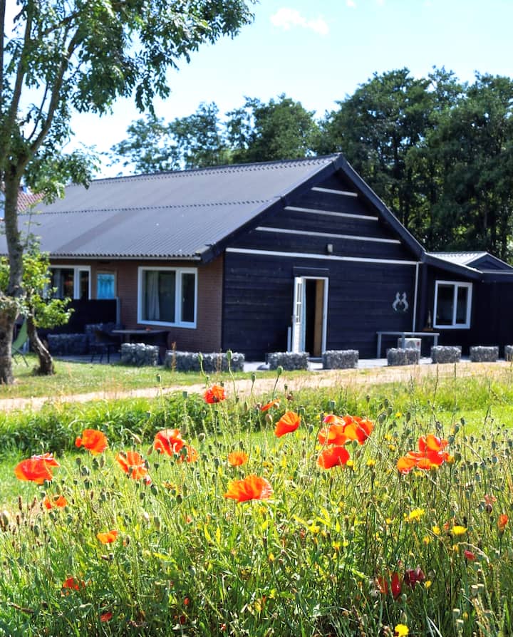 Savannah, Moderne En Gezellige Lodge In De Natuur - Burgh-Haamstede