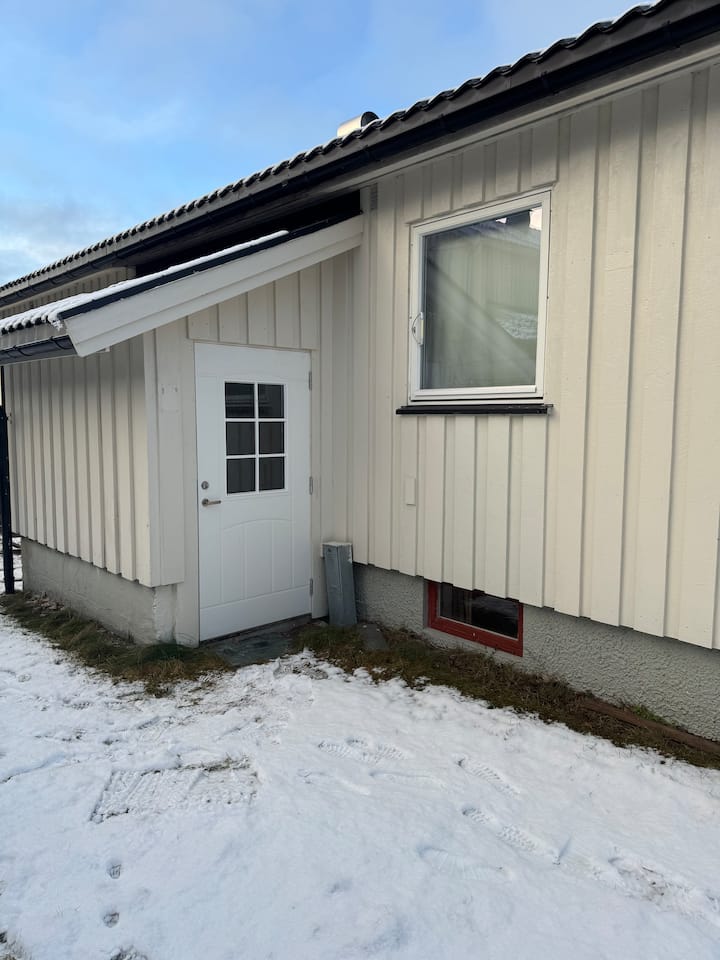 Sentral Kjellerleilighet - Småland
