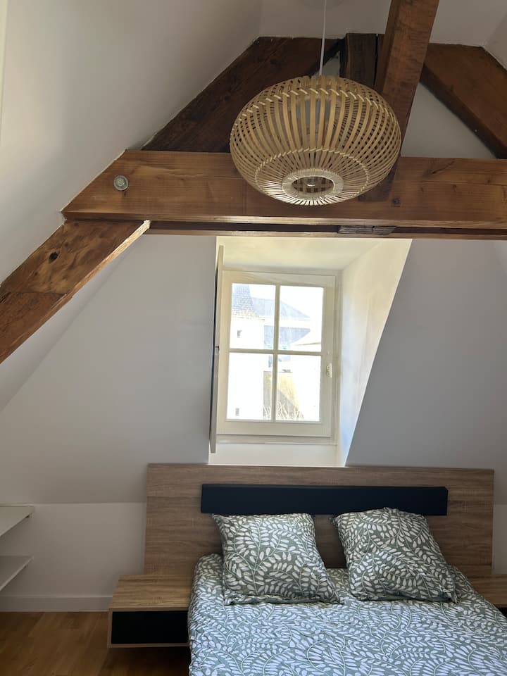 Le Pomerol - Appartement En Centre-ville - Château-Gontier-sur-Mayenne