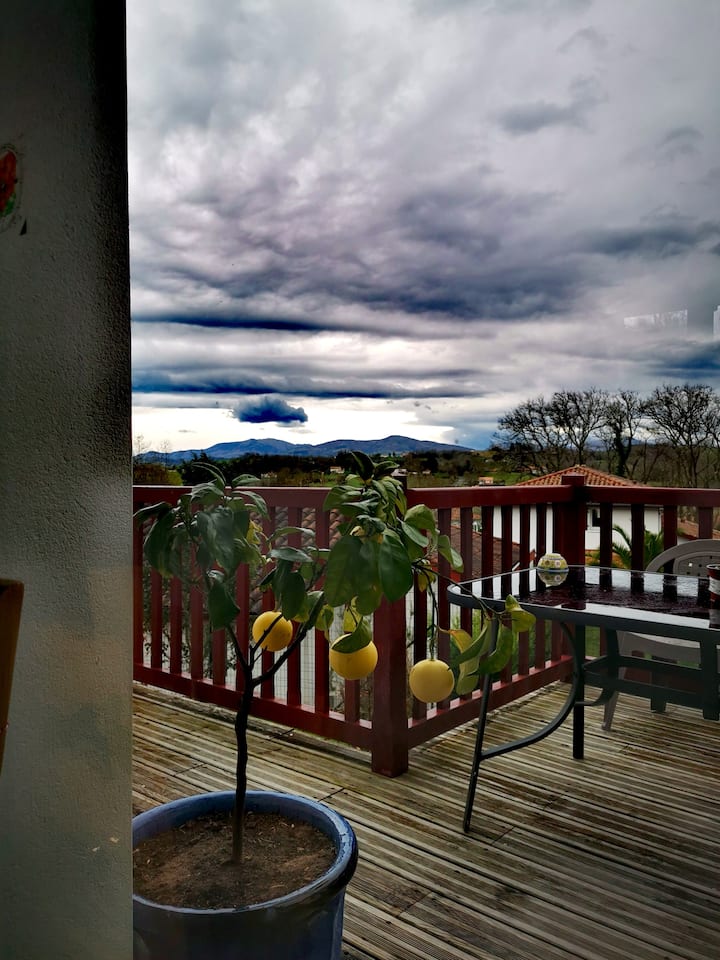 Maison Pays Basque - Urt