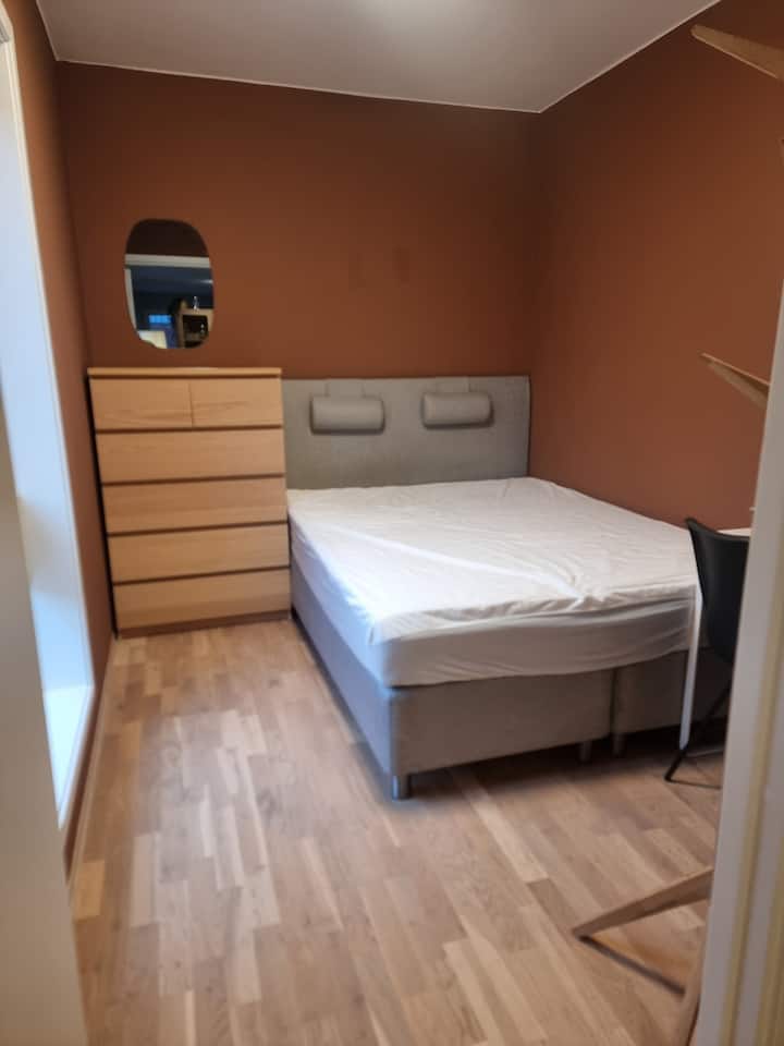 Room In Modern Apartment - Oslo