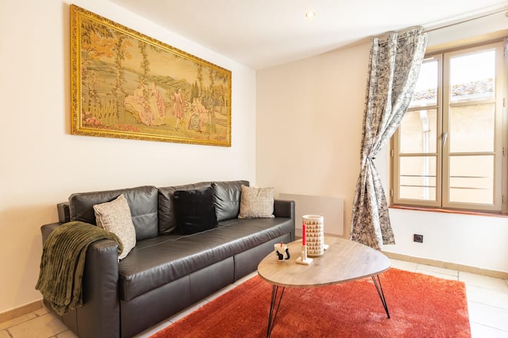 Spacieux Appartement En Plein Cœur De Beziers 2 - Béziers