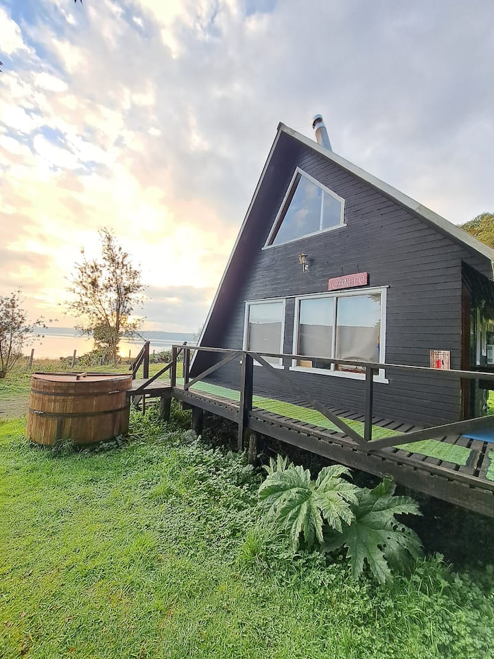 Canelo A Orilla De Lago - Isla Grande de Chiloé