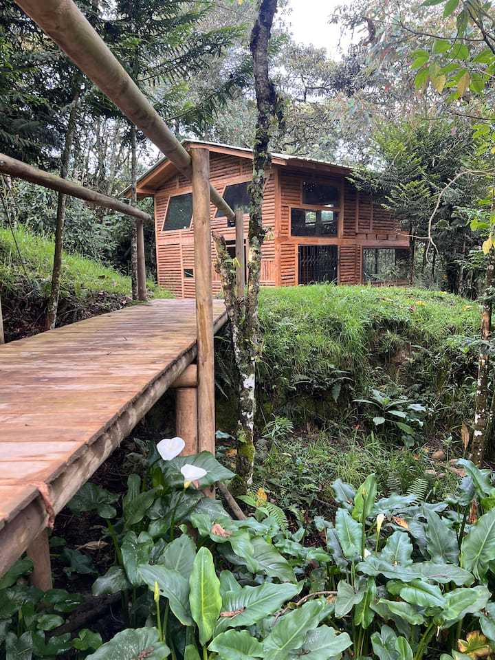 Cabaña Entre Bosques Santa Elena Entre Sol Nubes - Guarne