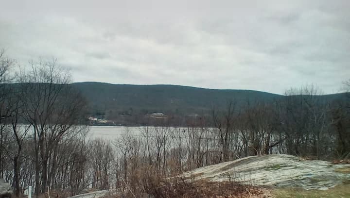 Eagles Of The Hudson River - Bear Mountain, NY